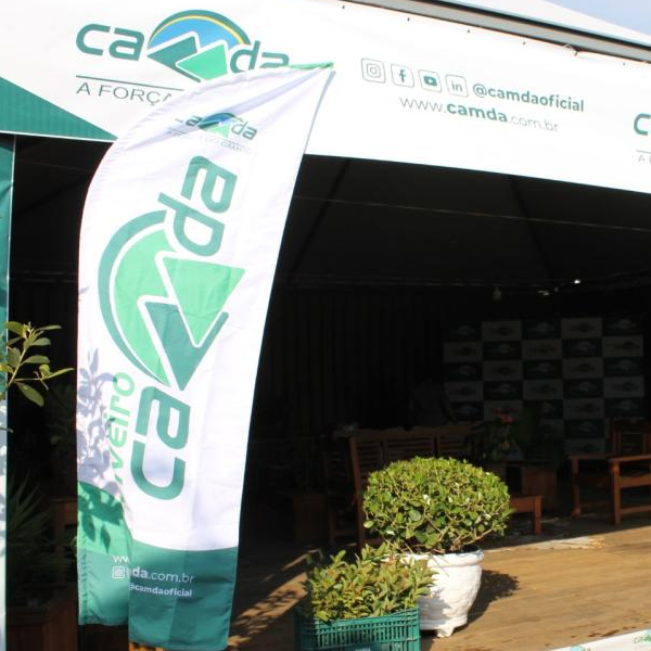 Camda - Notícias